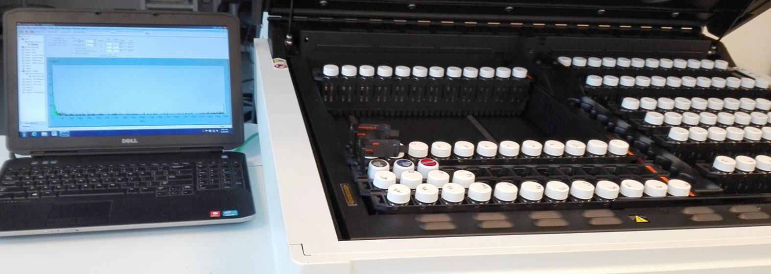 Primary production - DHI Lab products